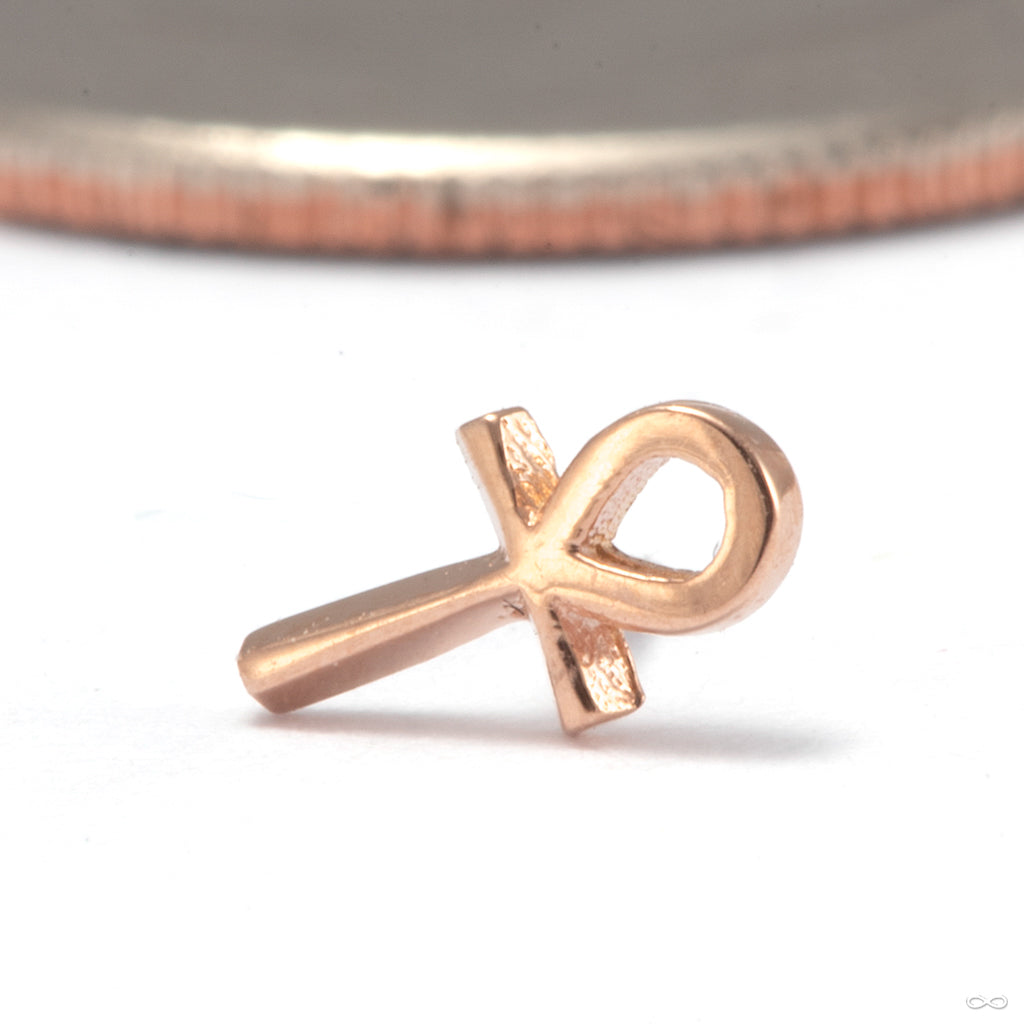 Shop for Body Jewelry - Infinite Body Piercing — Infinite Body Piercing ...