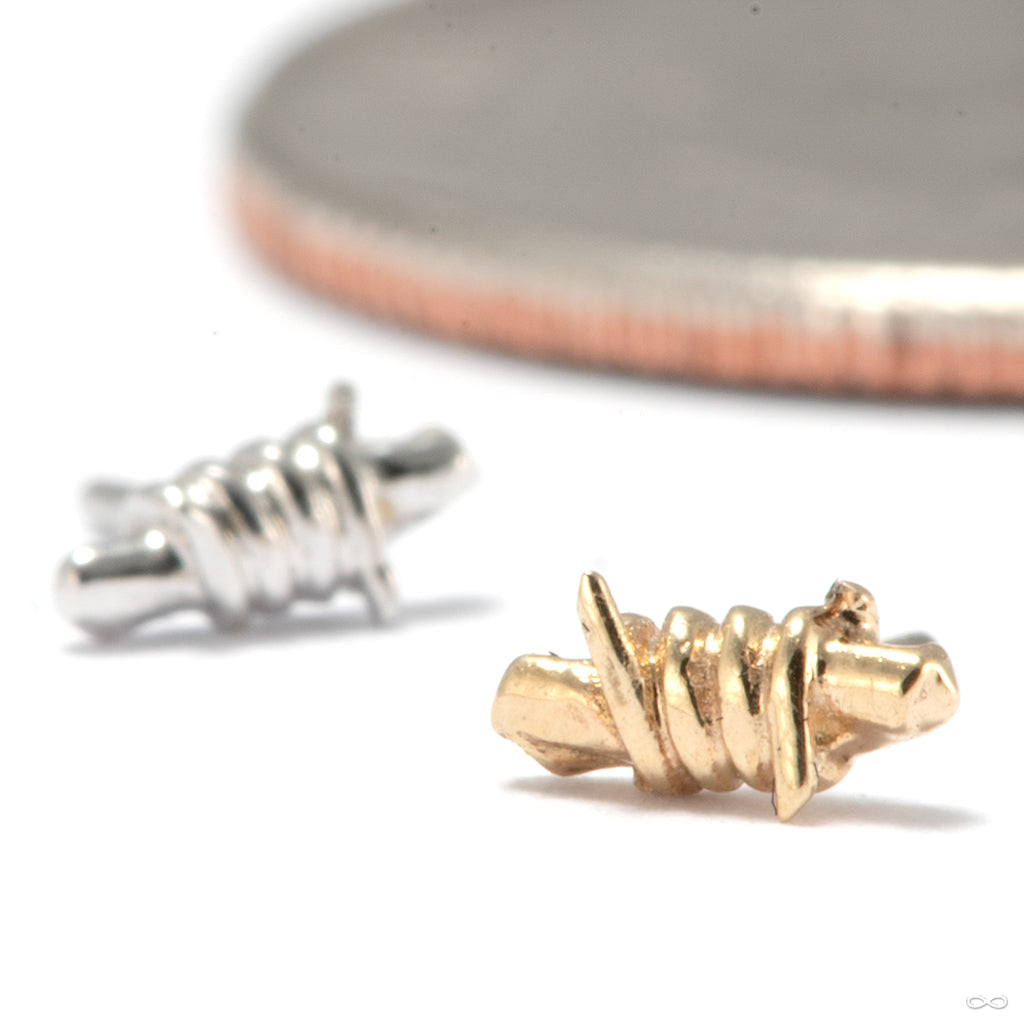 Shop for Body Jewelry - Infinite Body Piercing — Infinite Body Piercing ...