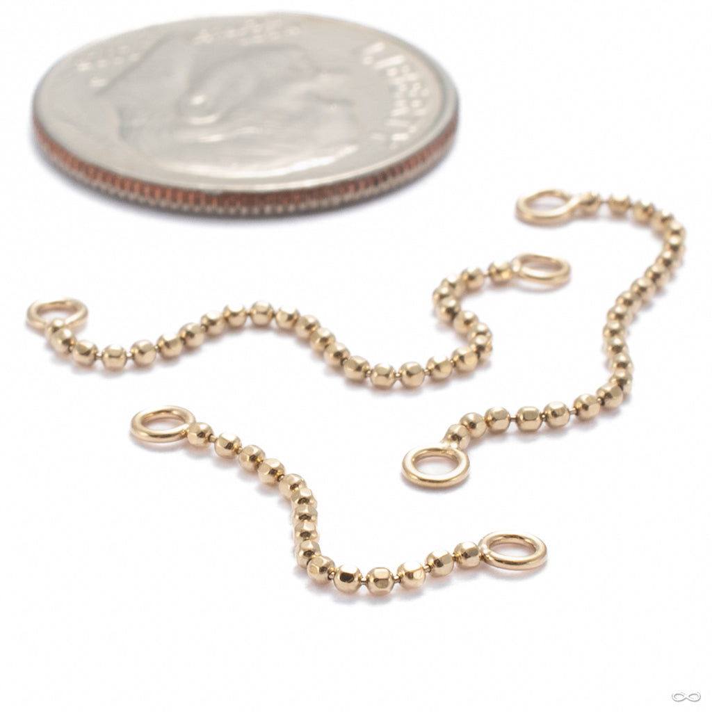 Beaded Lynx Chain in Gold from Pupil Hall — Infinite Body Piercing, Inc.