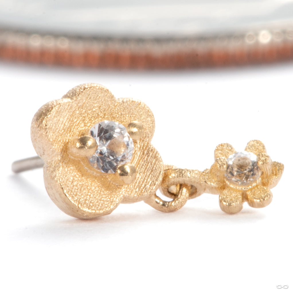 Bitty Oopsie Daisy Press-fit End in Gold from Pupil Hall — Infinite Body Piercing, Inc.
