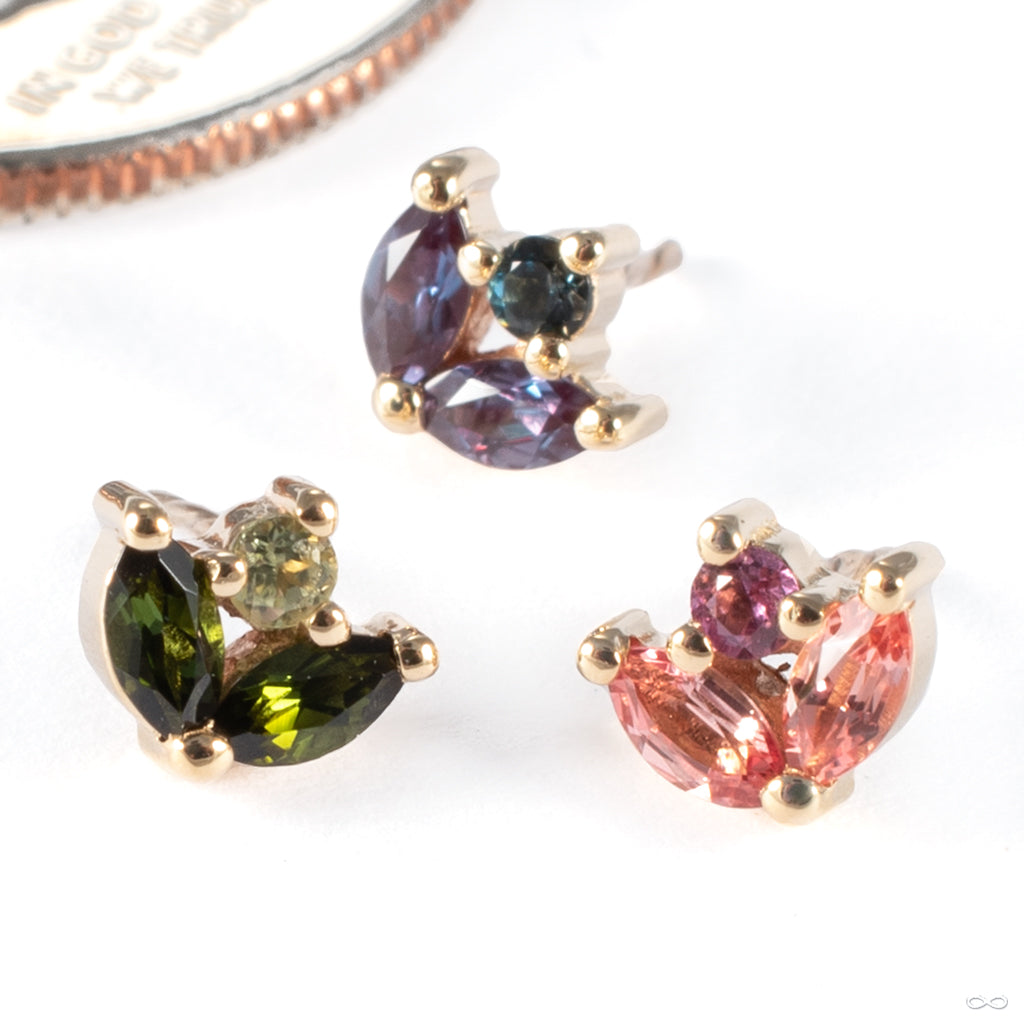 Professional Piercing & Body Jewelry - Infinite Body Piercing, Inc.