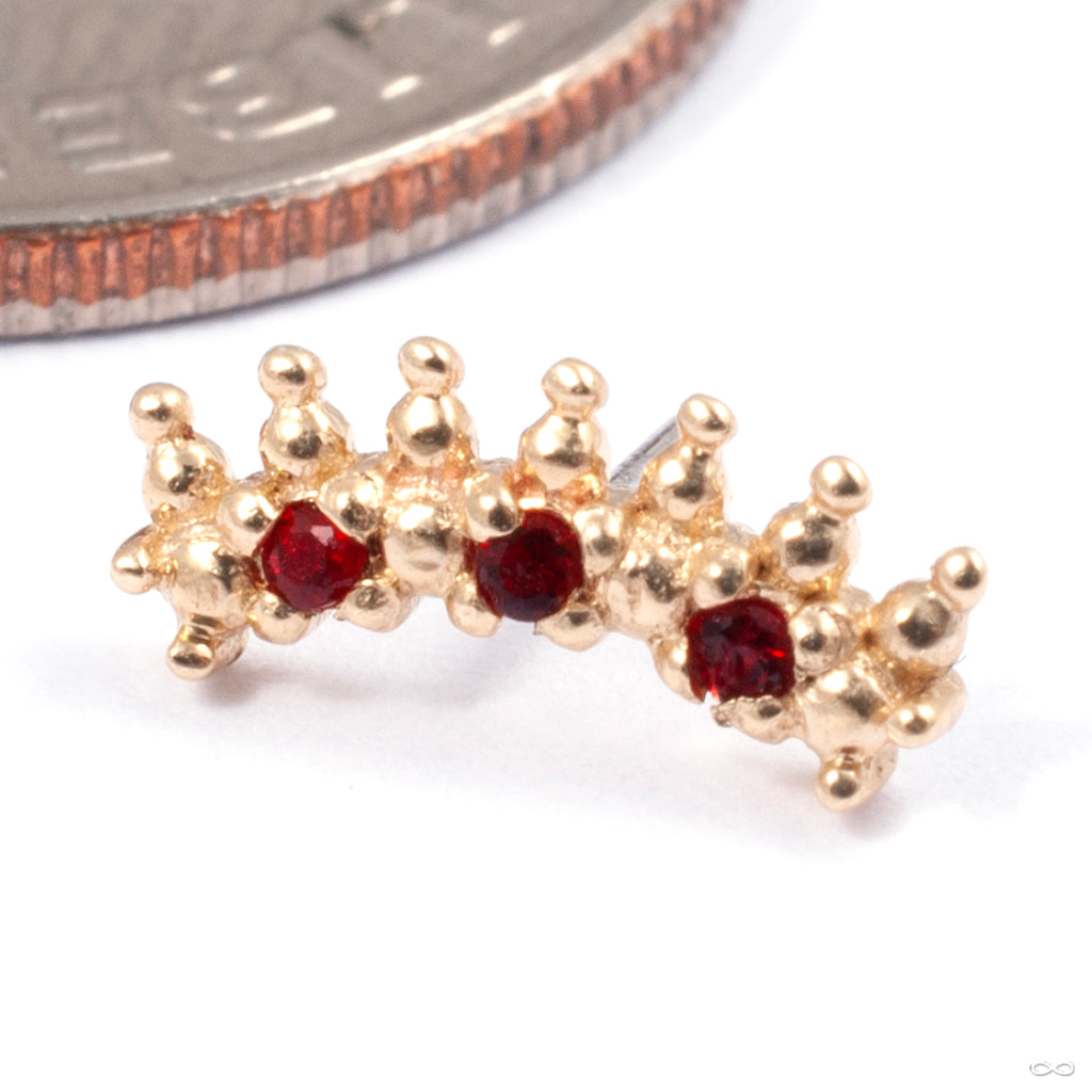 Shop for Body Jewelry - Infinite Body Piercing — Page 11 — Infinite ...