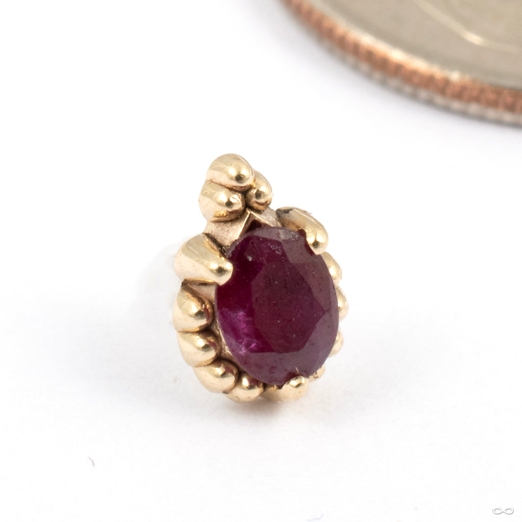 Shop for Body Jewelry - Infinite Body Piercing — Page 4 — Infinite Body ...