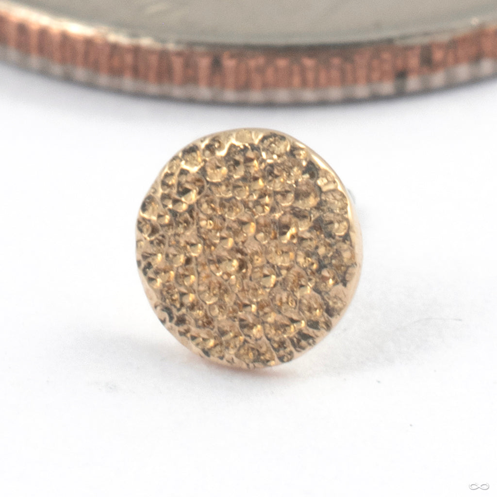 Shop for Body Jewelry - Infinite Body Piercing — Infinite Body Piercing ...