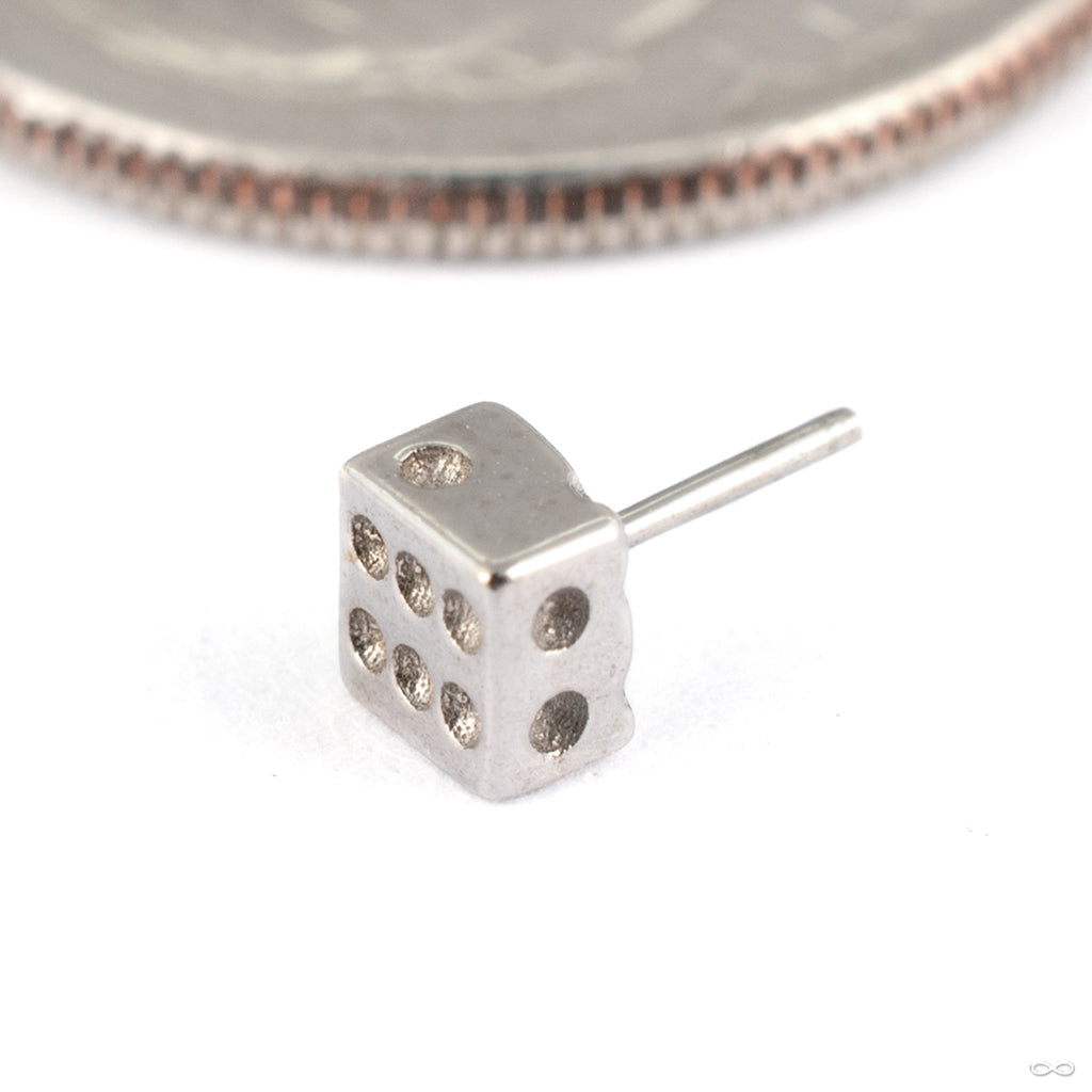Dice Press-fit End in Gold from Tawapa — Infinite Body Piercing, Inc.