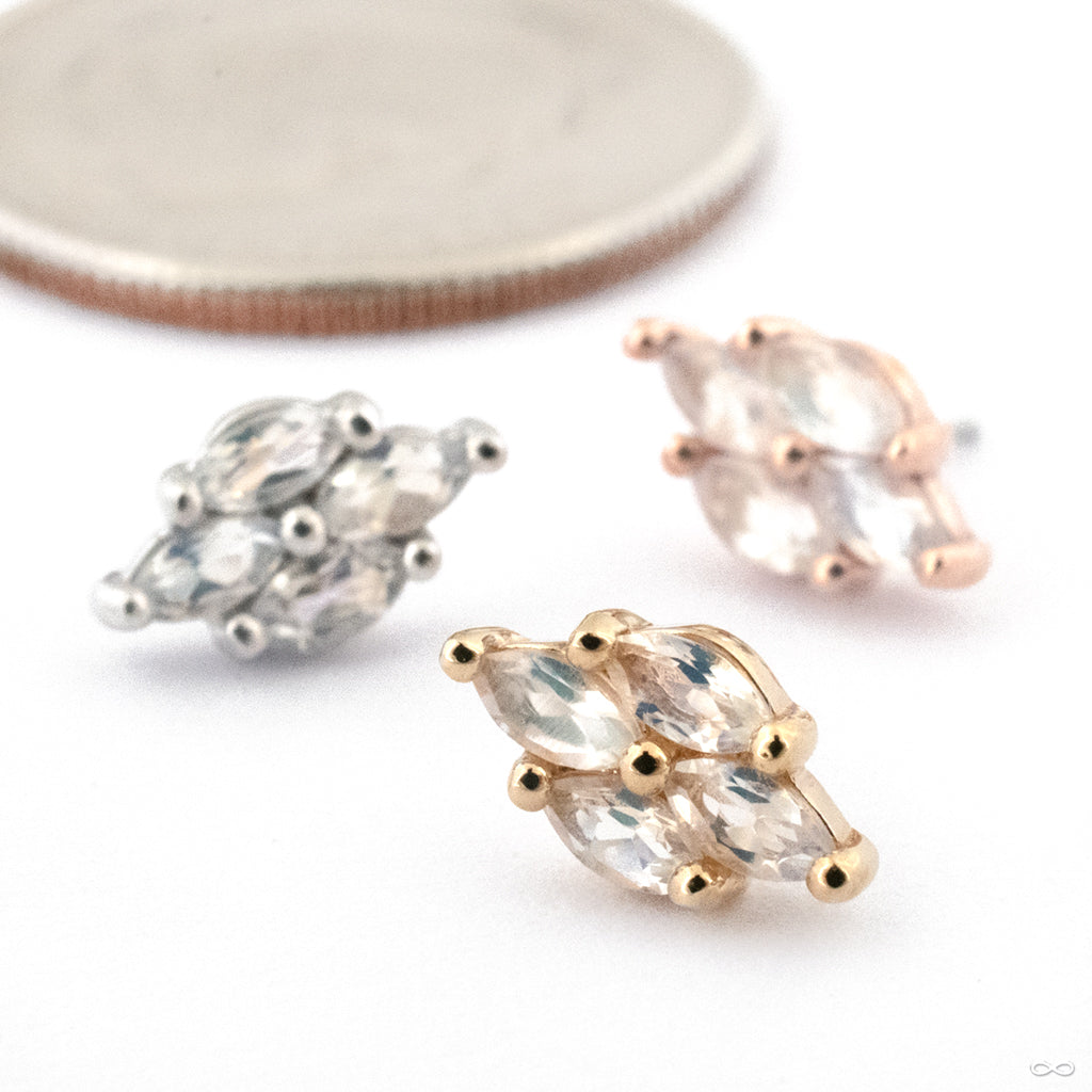 Press-fit Jewelry — Infinite Body Piercing, Inc.