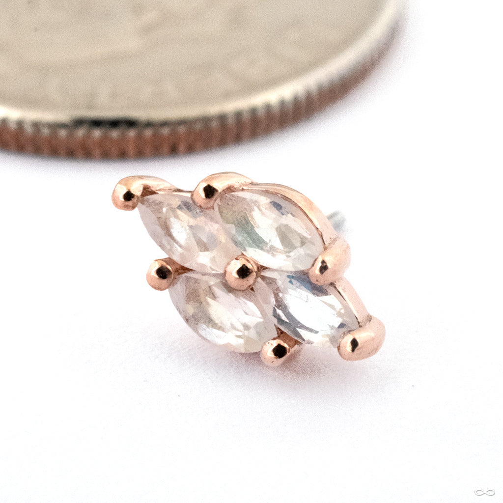 Press-fit Jewelry — Infinite Body Piercing, Inc.