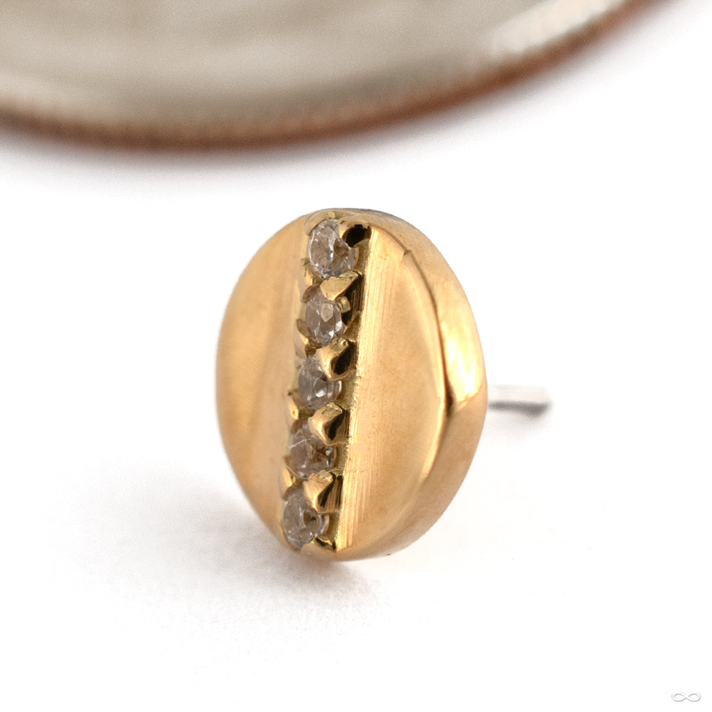 Eclipse Press-fit End in Gold from Maya Jewelry — Infinite Body ...