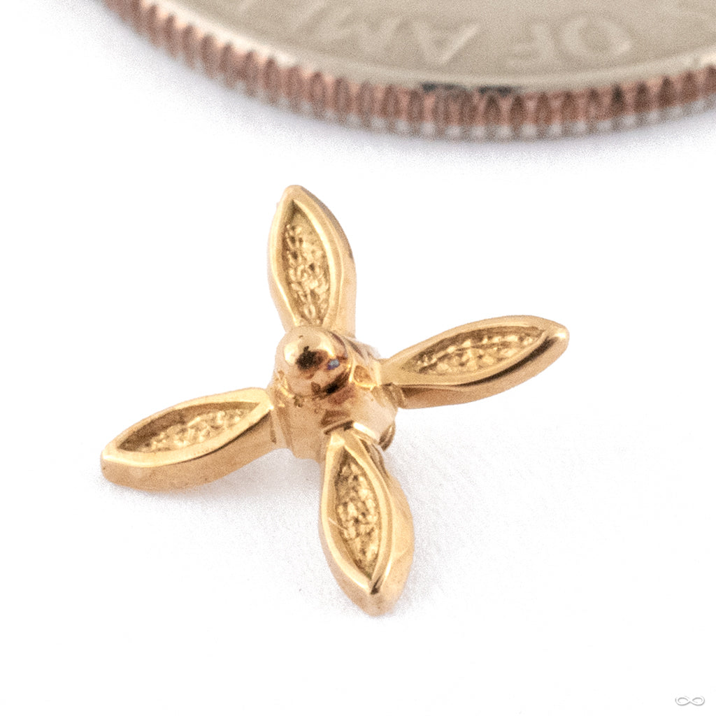 Threaded Jewelry — Infinite Body Piercing, Inc.