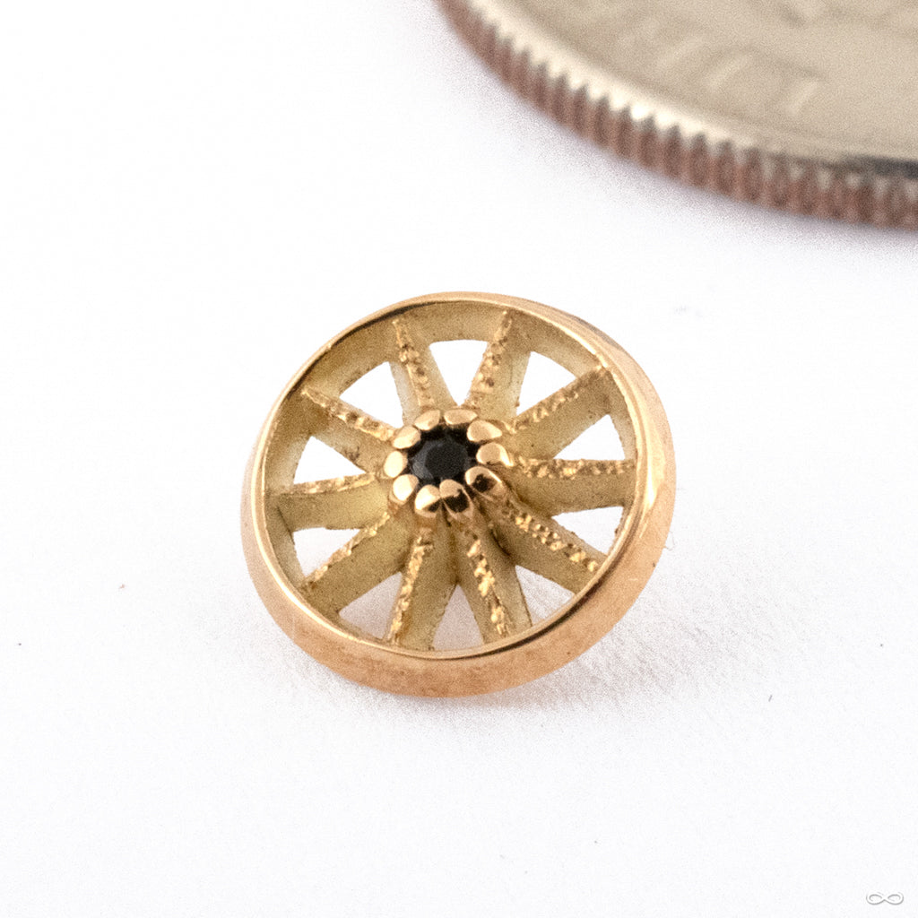 Shop for Body Jewelry - Infinite Body Piercing — Page 2 — Infinite Body ...