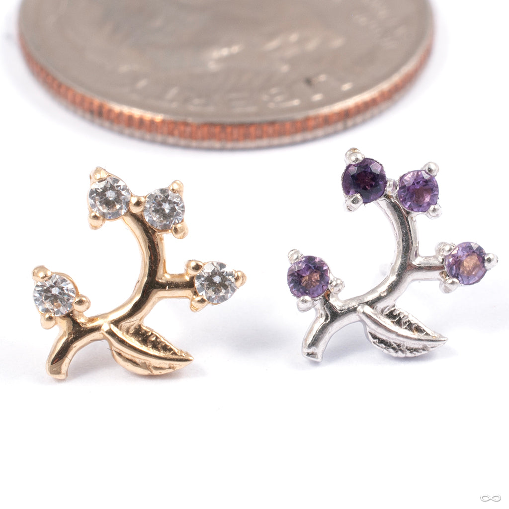 Frond Press-fit End in Gold from Tawapa — Infinite Body Piercing, Inc.