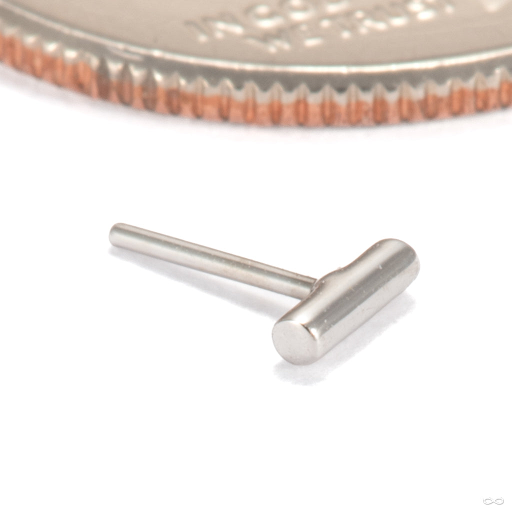 Shop for Body Jewelry - Infinite Body Piercing — Infinite Body Piercing ...