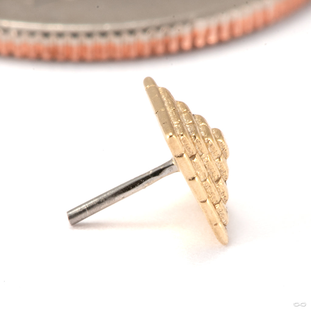 Shop for Body Jewelry - Infinite Body Piercing — Infinite Body Piercing ...