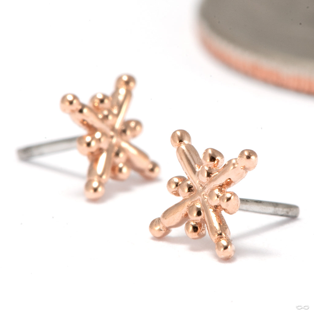 Shop for Body Jewelry - Infinite Body Piercing — Infinite Body Piercing ...