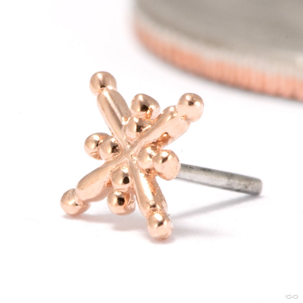 Shop for Body Jewelry - Infinite Body Piercing — Infinite Body Piercing ...