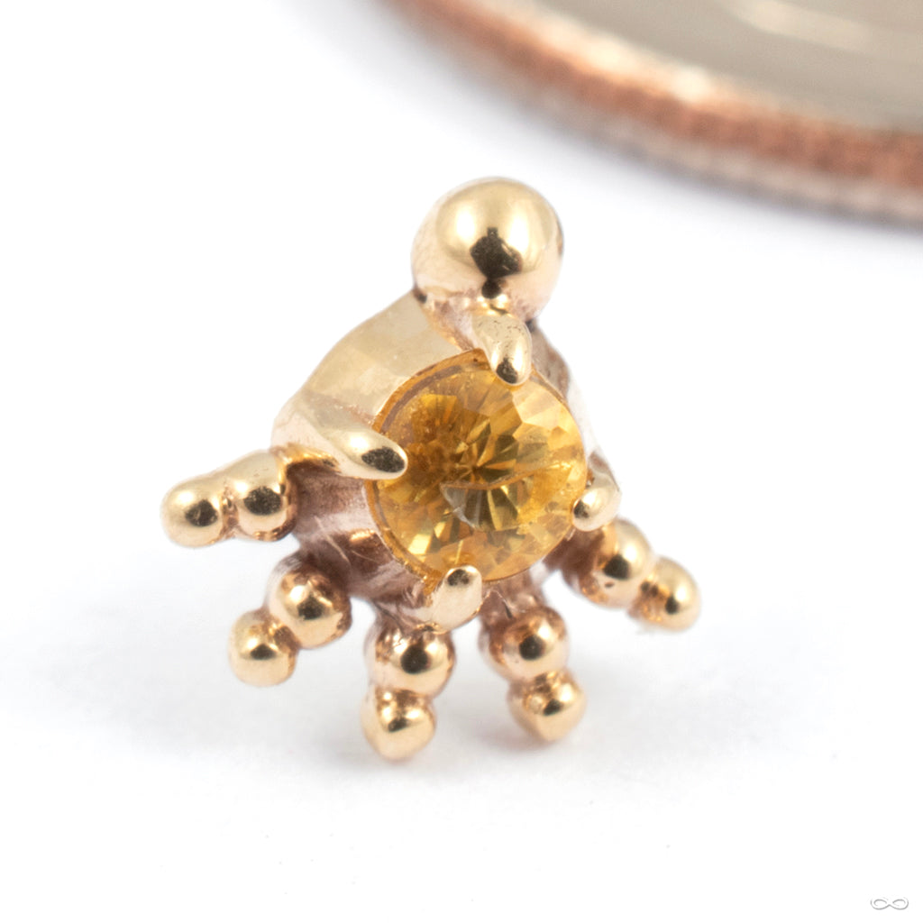 Golden Hour Press-fit End in Gold from Sacred Symbols — Infinite Body ...