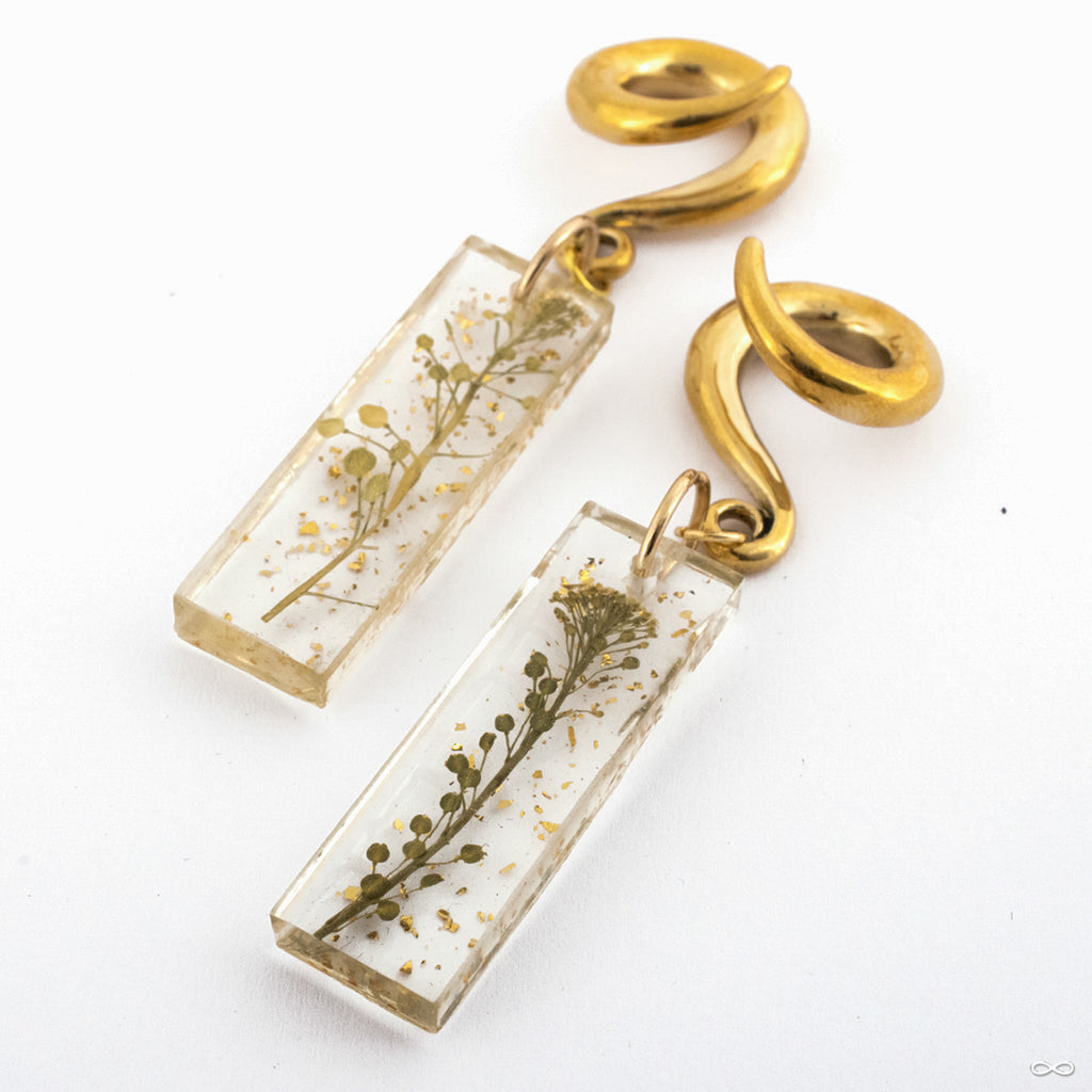 Ways to Stretch Piercings — Infinite Body Piercing, Inc.