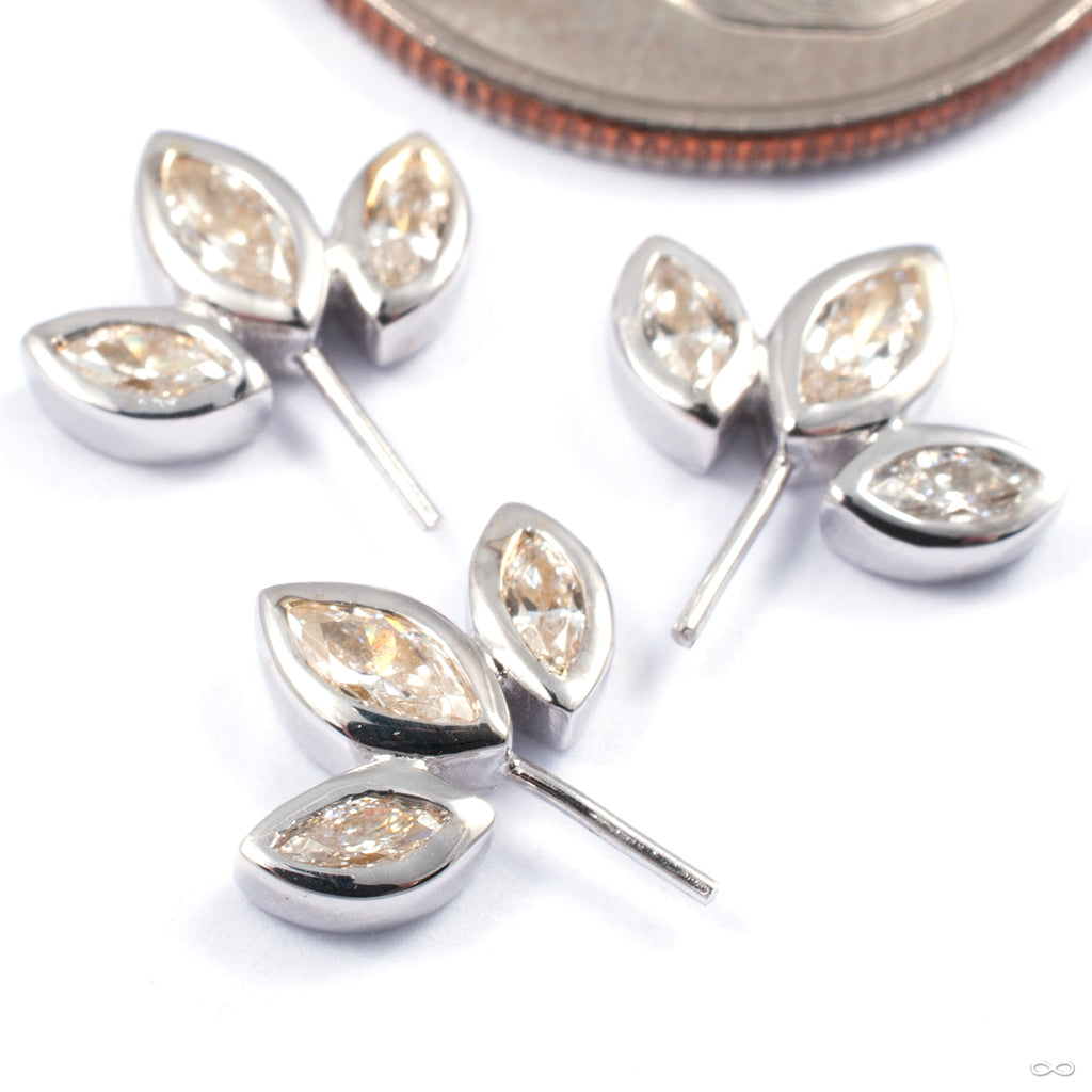 Shop for Body Jewelry - Infinite Body Piercing — Page 4 — Infinite Body ...