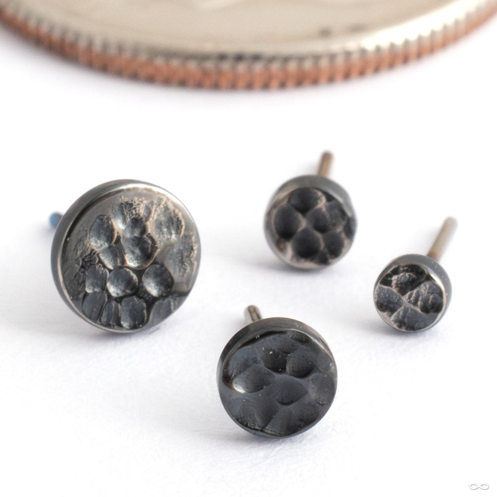 Hammered Disk Press-fit End from Black Forest Jewelry — Infinite Body Piercing, Inc.