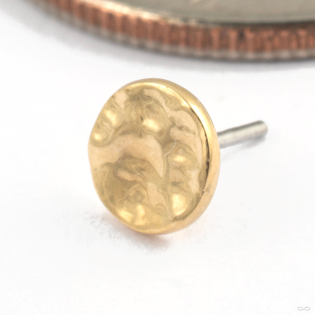 Shop for Body Jewelry - Infinite Body Piercing — Infinite Body Piercing ...