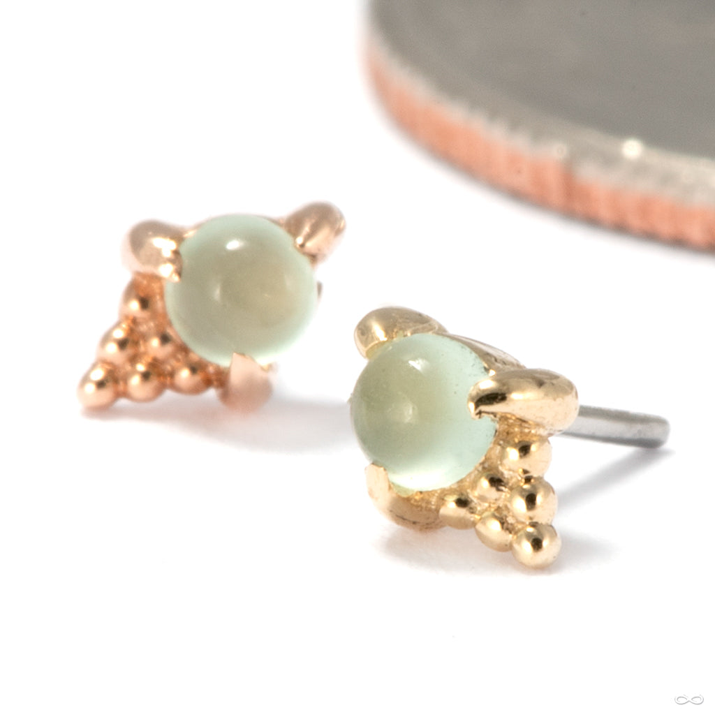 Jolene Press-Fit End in Gold from Tawapa — Infinite Body Piercing, Inc.