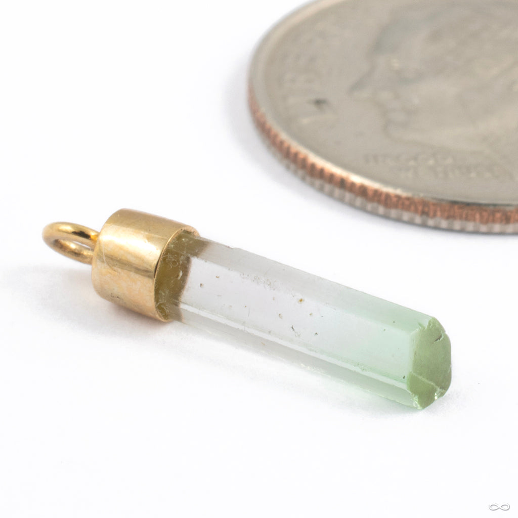 Shop for Body Jewelry - Infinite Body Piercing — Infinite Body Piercing ...