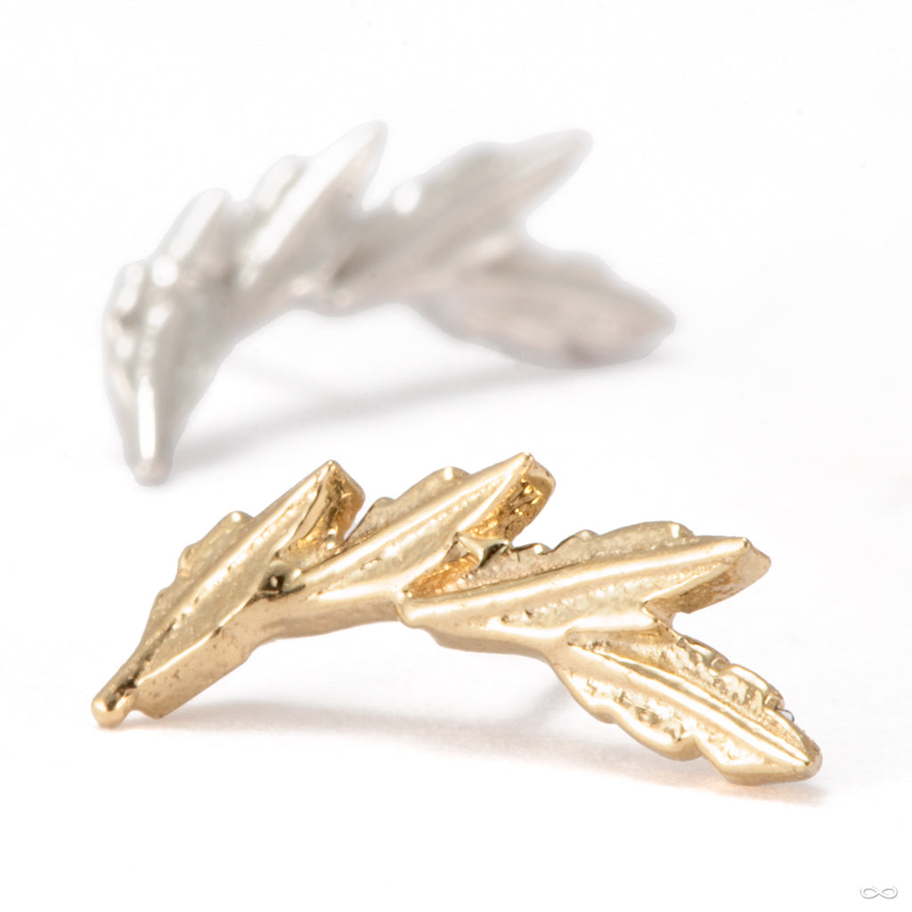 Shop for Body Jewelry - Infinite Body Piercing — Infinite Body Piercing ...