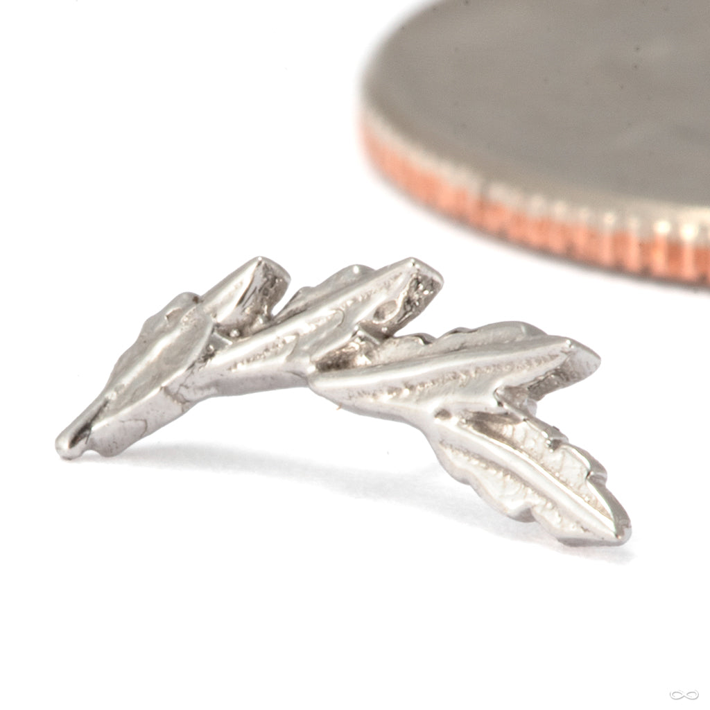 Shop for Body Jewelry - Infinite Body Piercing — Infinite Body Piercing ...