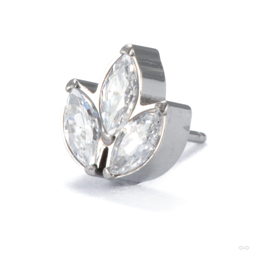 Shop for Body Jewelry - Infinite Body Piercing — Infinite Body Piercing ...