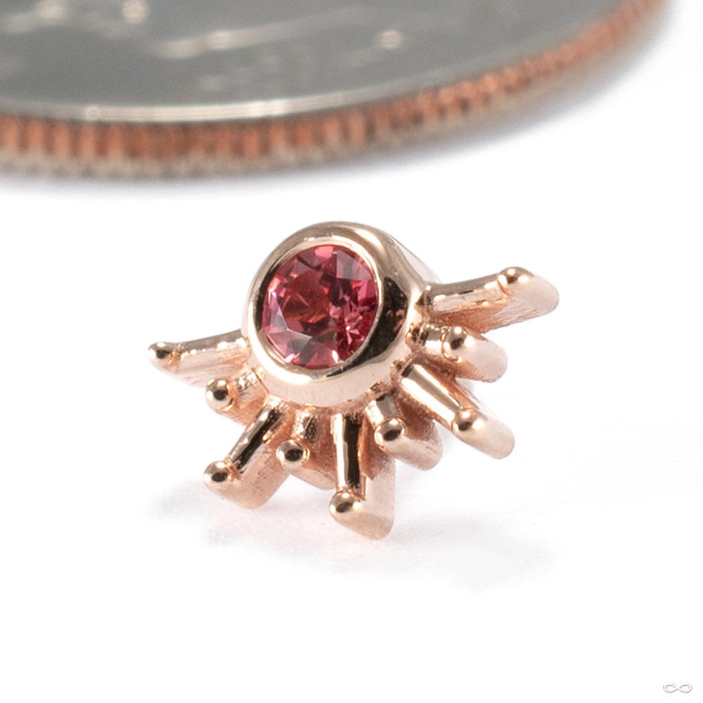 BVLA Jewelry — Infinite Body Piercing, Inc.