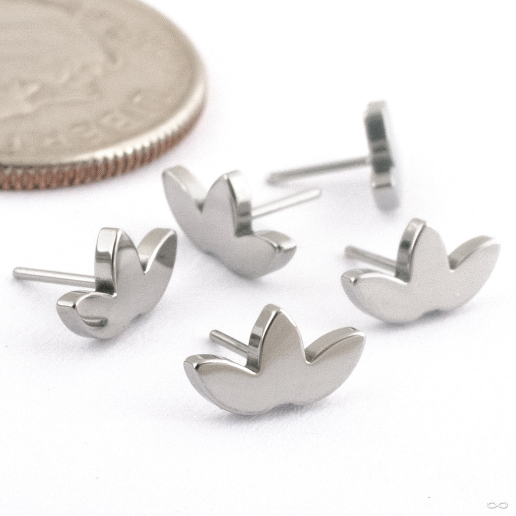 Press-fit Jewelry — Infinite Body Piercing, Inc.