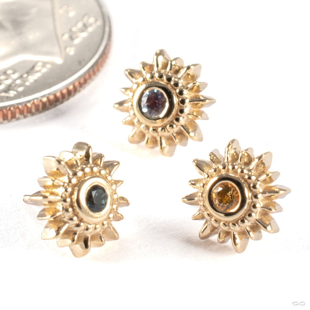 Professional Piercing & Body Jewelry - Infinite Body Piercing, Inc.