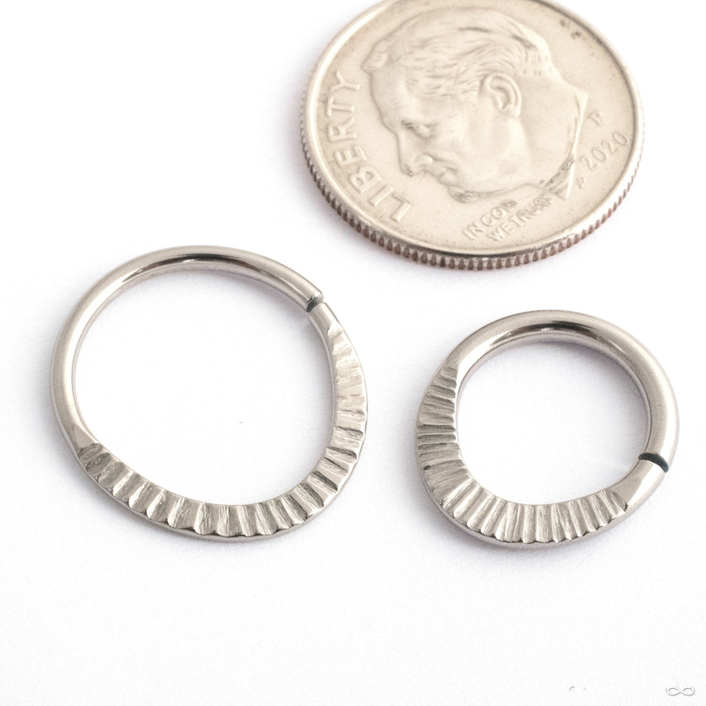 Morrigan Seam Ring from Black Forest Jewelry — Infinite Body Piercing, Inc.