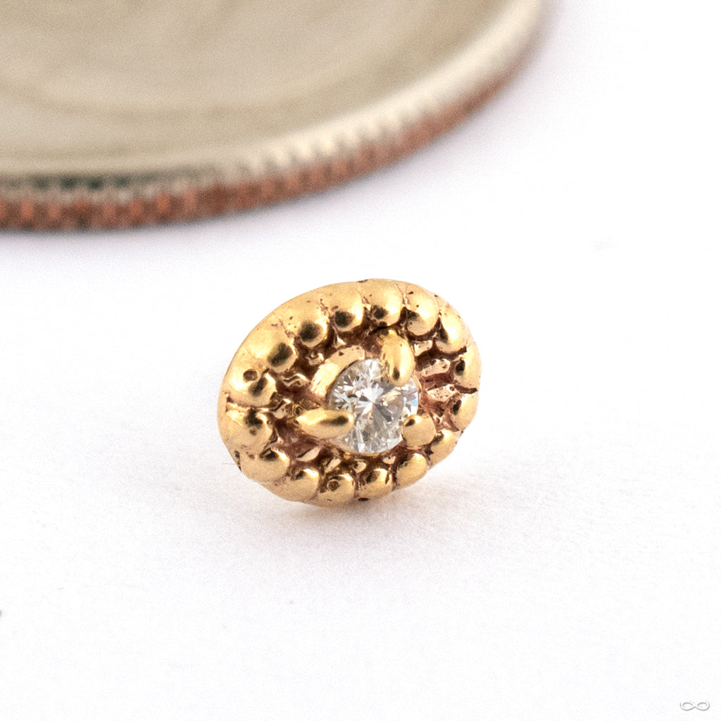 Press-fit Jewelry — Infinite Body Piercing, Inc.