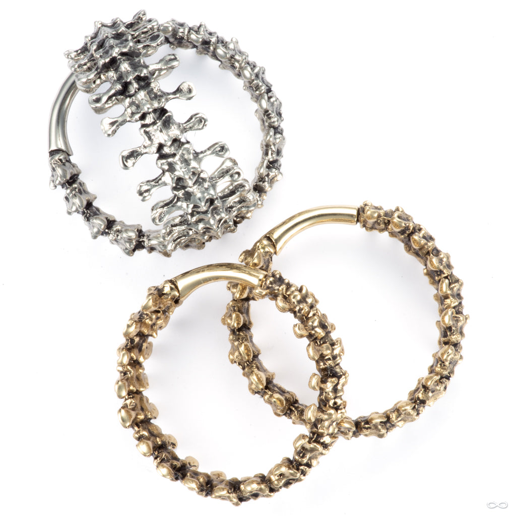 Shop for Body Jewelry - Infinite Body Piercing — Infinite Body Piercing ...