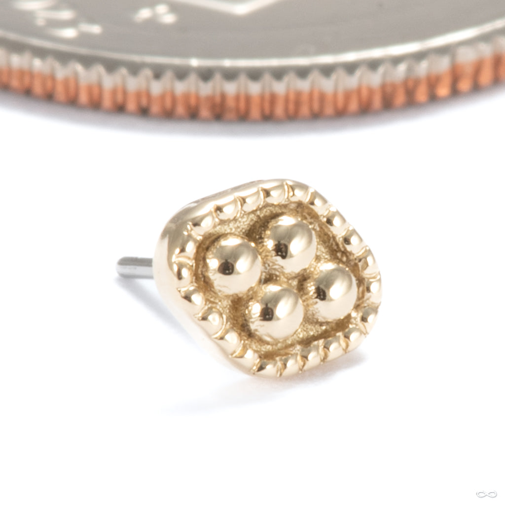 Shop for Body Jewelry - Infinite Body Piercing — Infinite Body Piercing ...