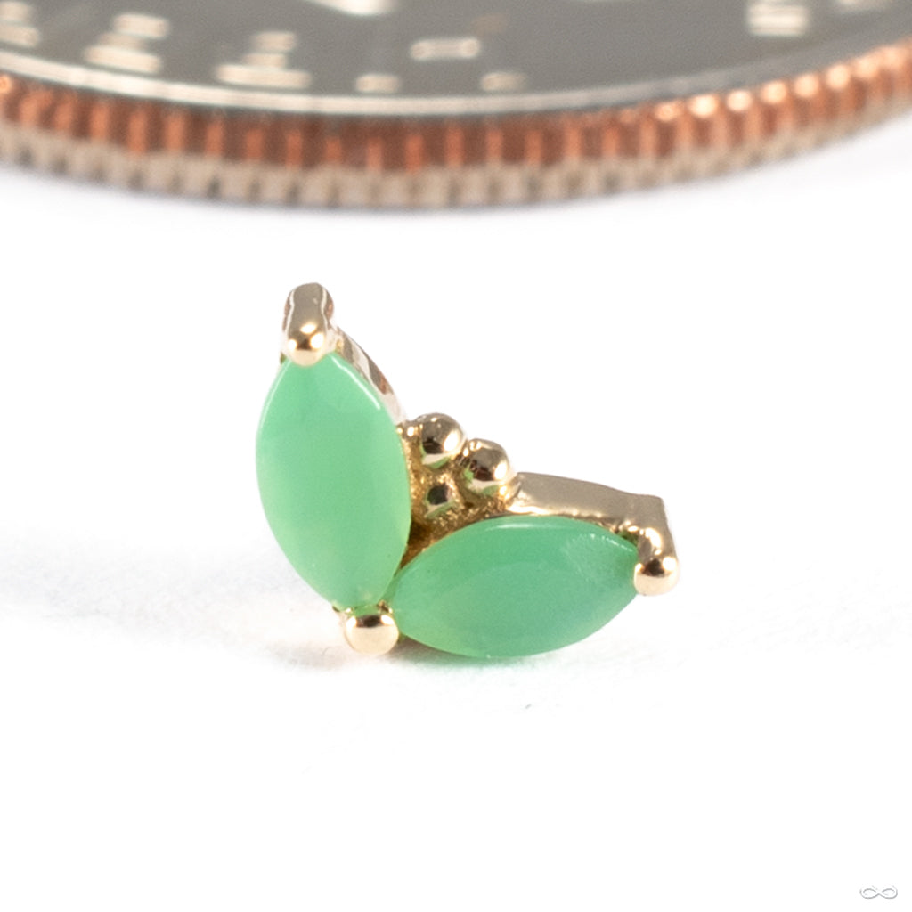 Shop for Body Jewelry - Infinite Body Piercing — Infinite Body Piercing ...