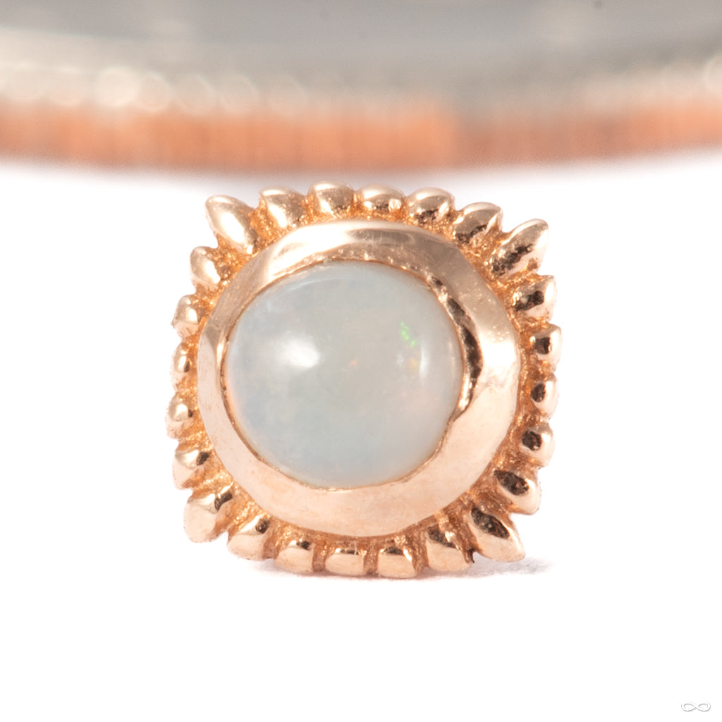 Shop for Body Jewelry - Infinite Body Piercing — Infinite Body Piercing ...