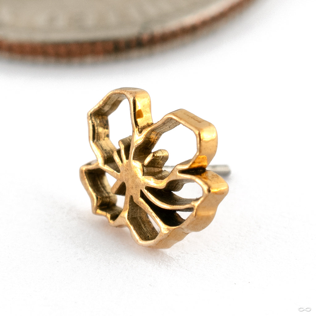 Press-fit Jewelry — Infinite Body Piercing, Inc.