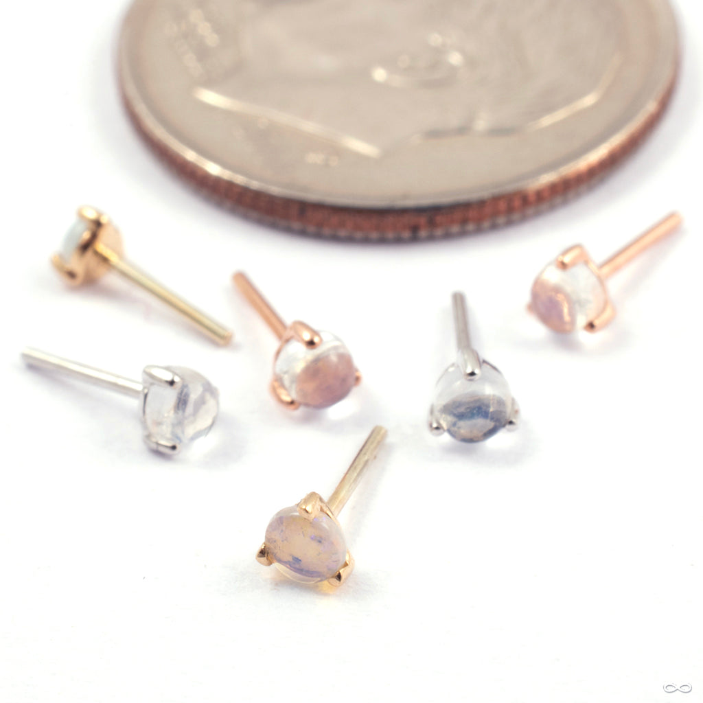 Solitaire Press-fit End in Gold from Modern Mood — Infinite Body ...