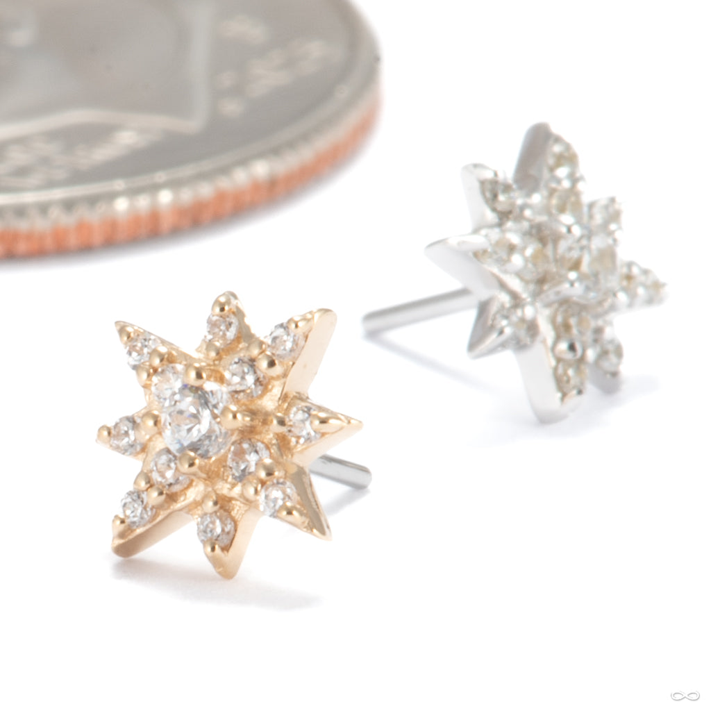 Shop for Body Jewelry - Infinite Body Piercing — Infinite Body Piercing ...