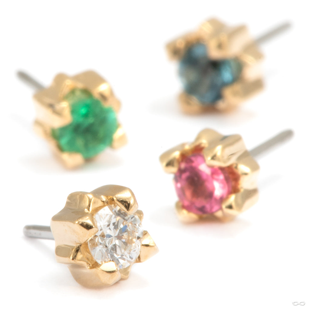 Stella Press-fit End in Gold from Tether Jewelry — Infinite Body ...