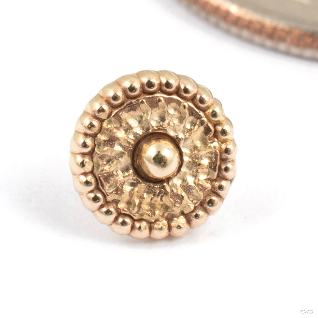 Shop for Body Jewelry - Infinite Body Piercing — Page 3 — Infinite Body ...