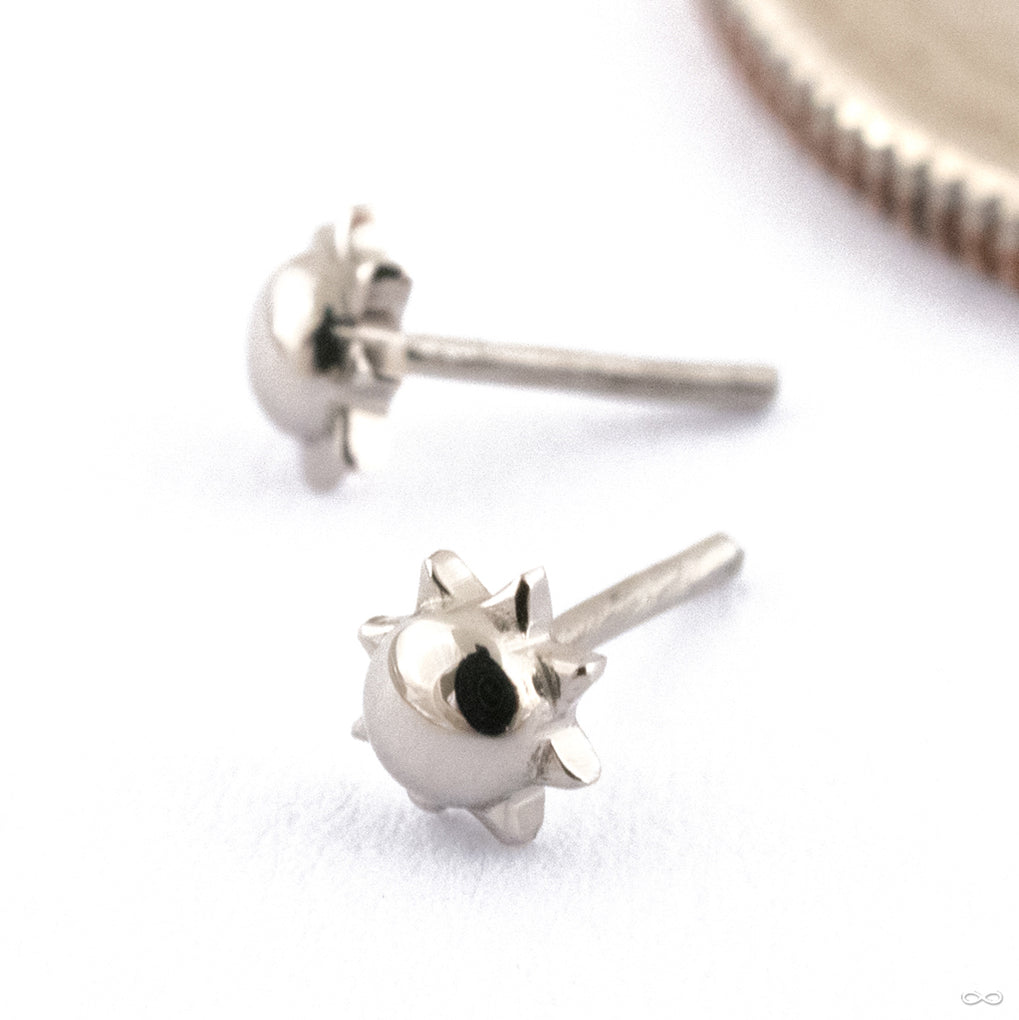 New Arrivals — Infinite Body Piercing, Inc.