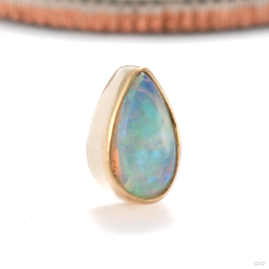 Shop for Body Jewelry - Infinite Body Piercing — Infinite Body Piercing ...