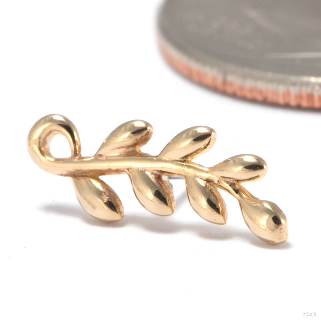 Shop for Body Jewelry - Infinite Body Piercing — Infinite Body Piercing ...