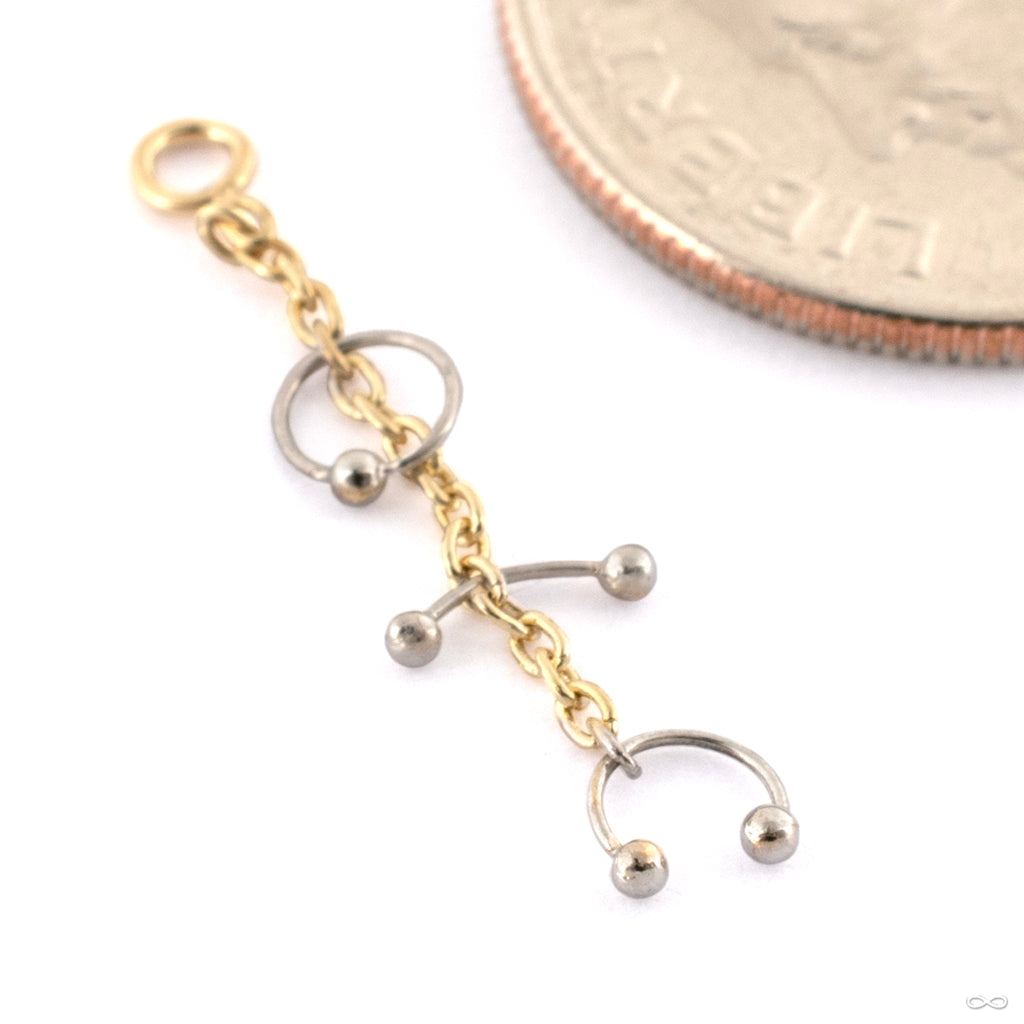 Pupil Hall — Infinite Body Piercing, Inc.