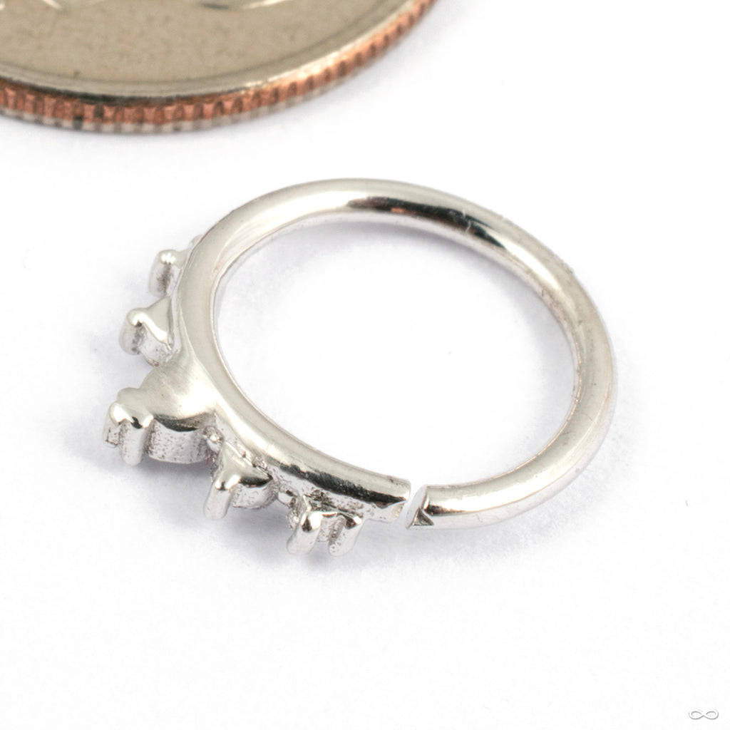 Rings & Clickers — Infinite Body Piercing, Inc.