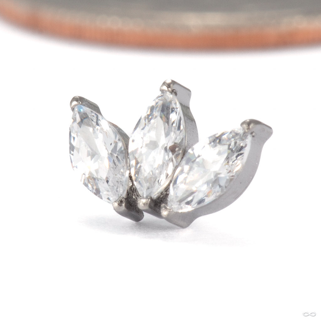 Shop for Body Jewelry - Infinite Body Piercing — Infinite Body Piercing ...