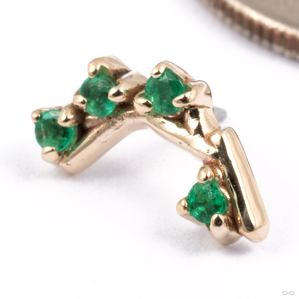 Press-fit Jewelry — Infinite Body Piercing, Inc.